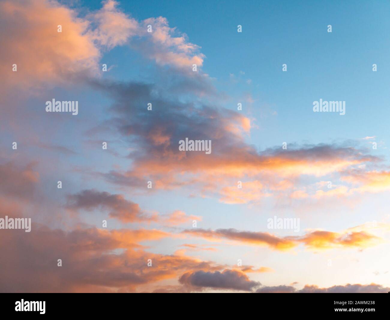 Cloudy landscape in the rays of sunny sunset. Nature. Scenery ...