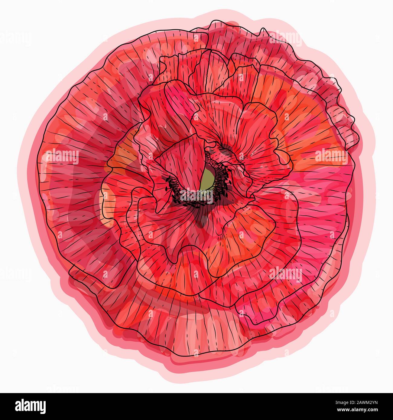 Ink, pencil, watercolor poppy flower sketch. Hand drawn nature painting ...