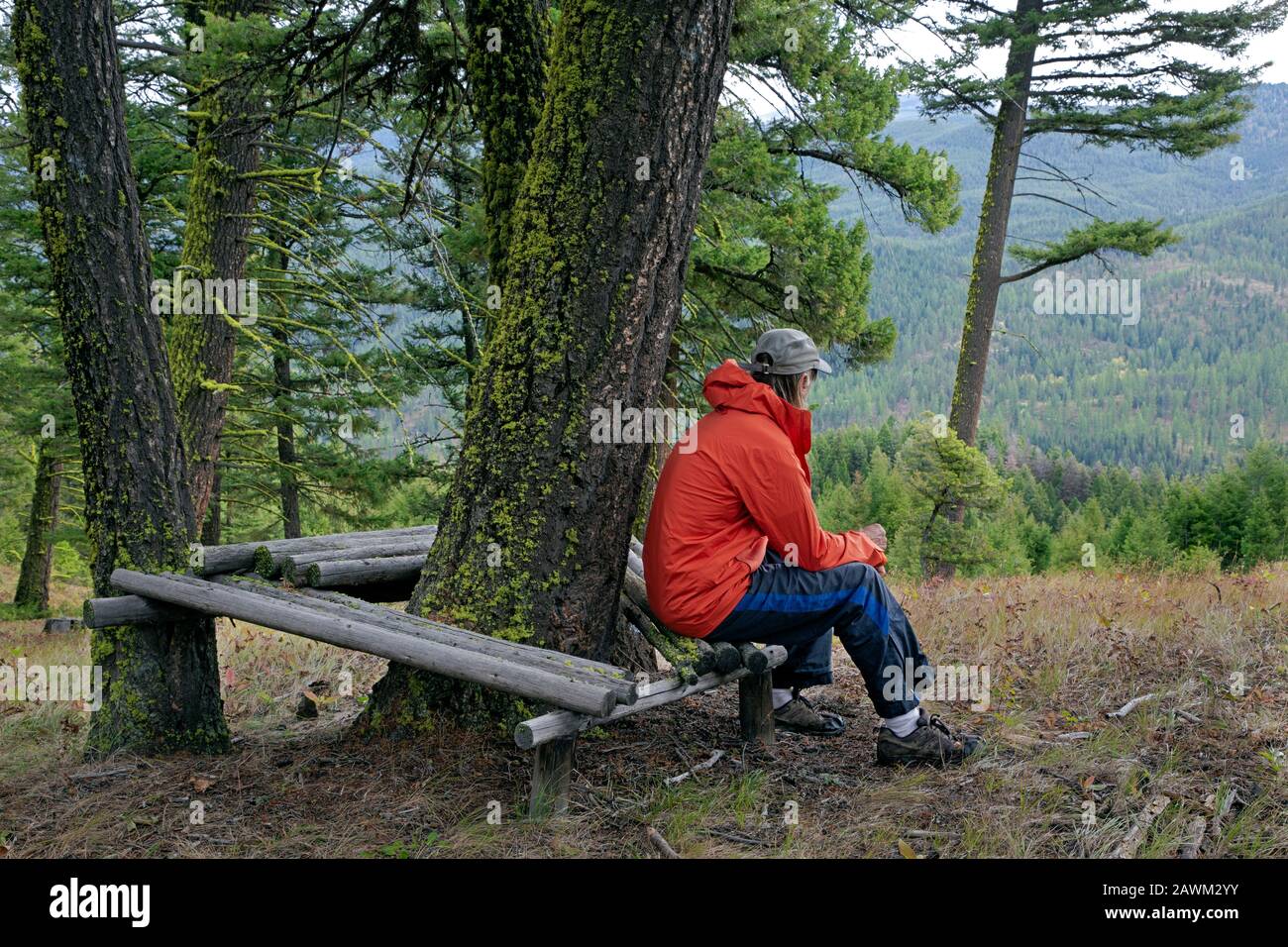 MT00482-00...MONTANA - Modern day hiker sitting on seat at Warren Park ...