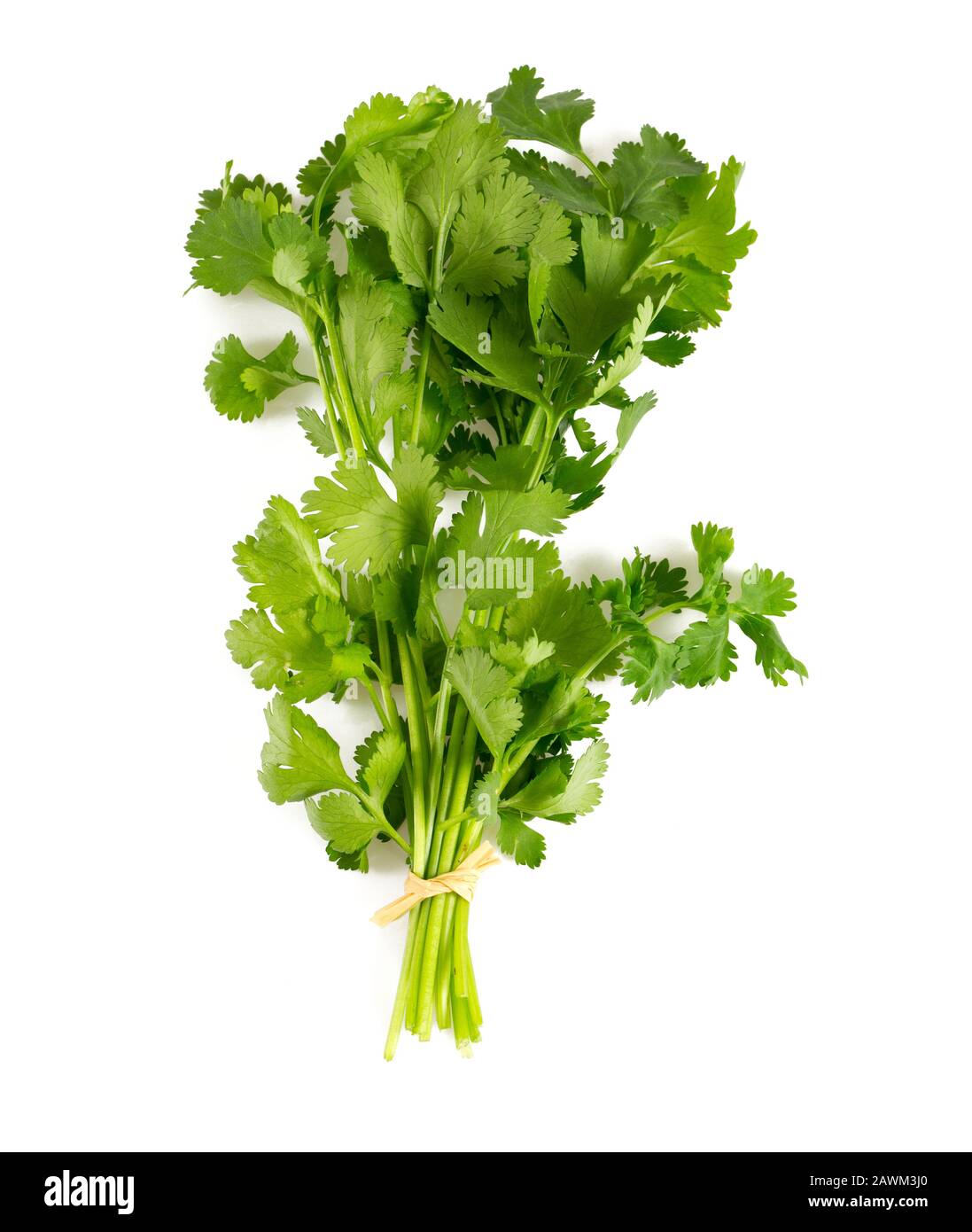 Cilantro background hi-res stock photography and images - Alamy