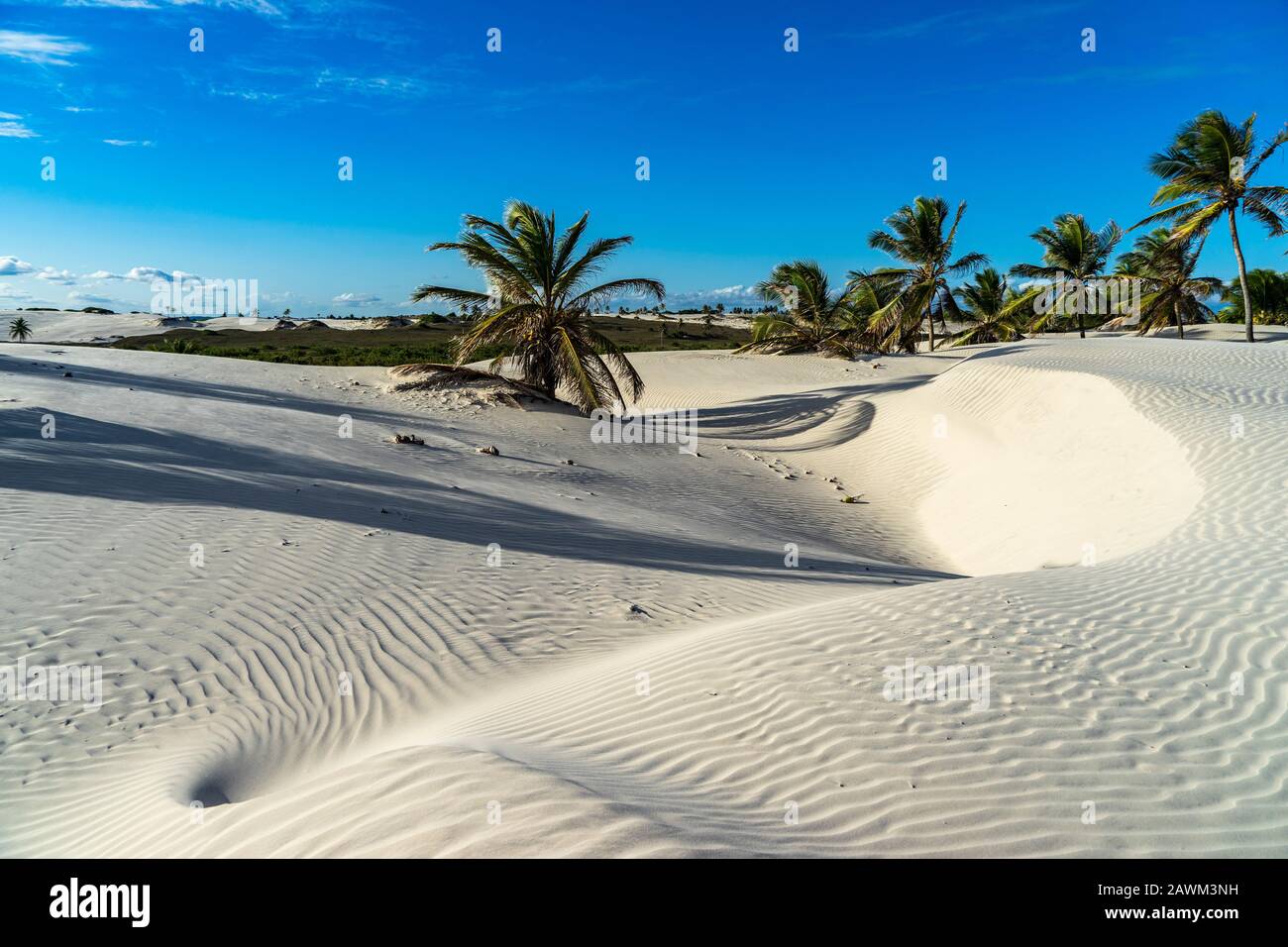 Mangue High Resolution Stock Photography and Images - Alamy