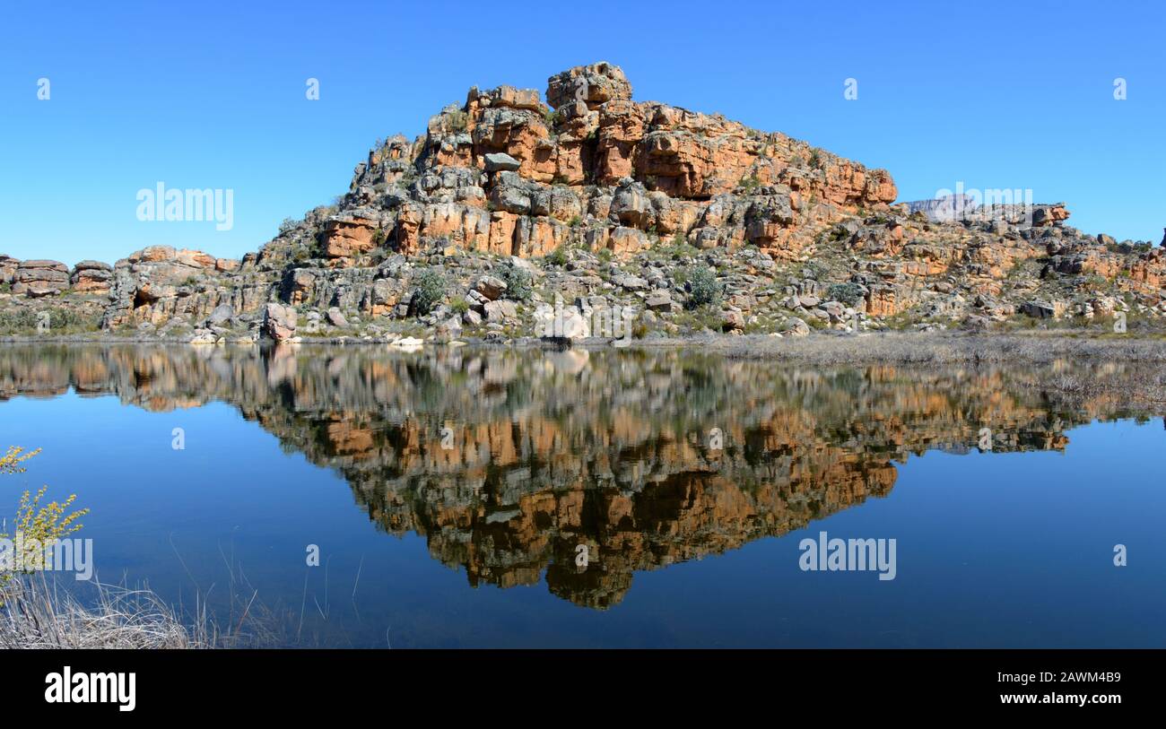 Reflection in a pond Stock Photo - Alamy