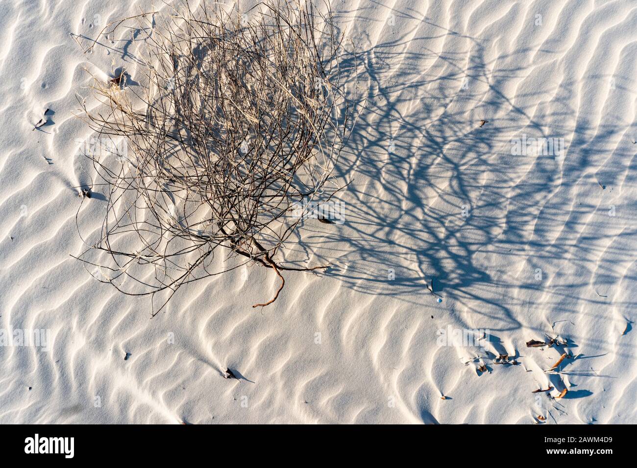Natural structures hi-res stock photography and images - Alamy