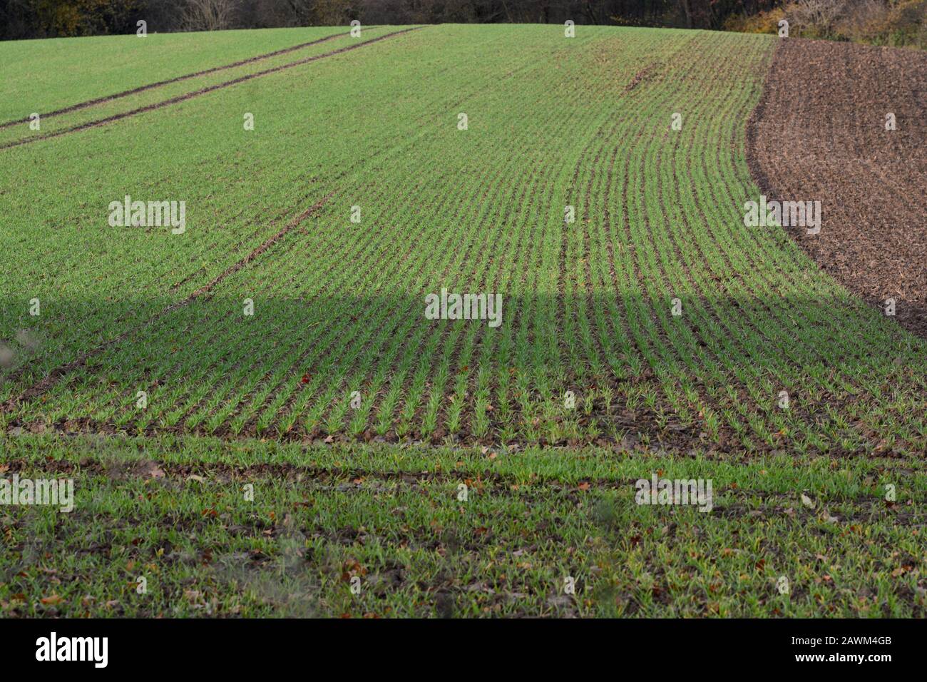 Munder hi-res stock photography and images - Alamy