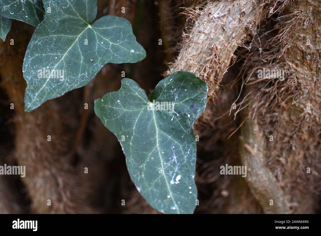 Munder hi-res stock photography and images - Alamy