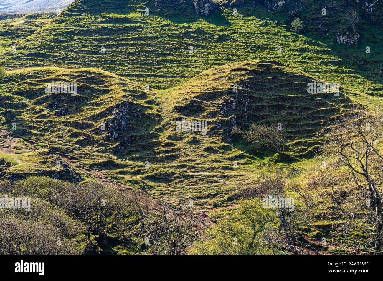 cone-shaped hills of the Fairy Glen, Scotland, UK Stock Photo - Alamy