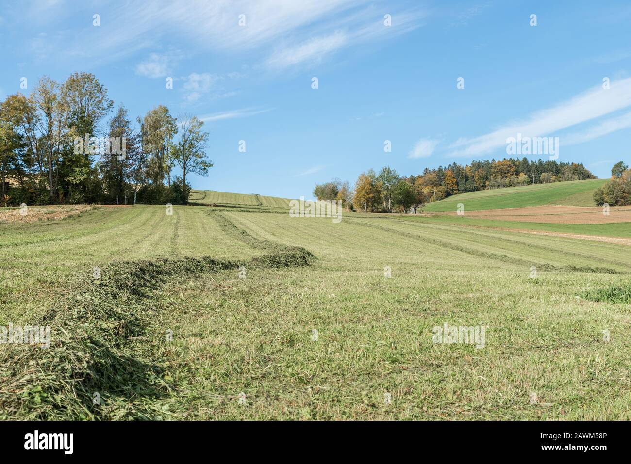 Mowed meadow and landscape in the Bavarian Forest, Germany Stock Photo ...