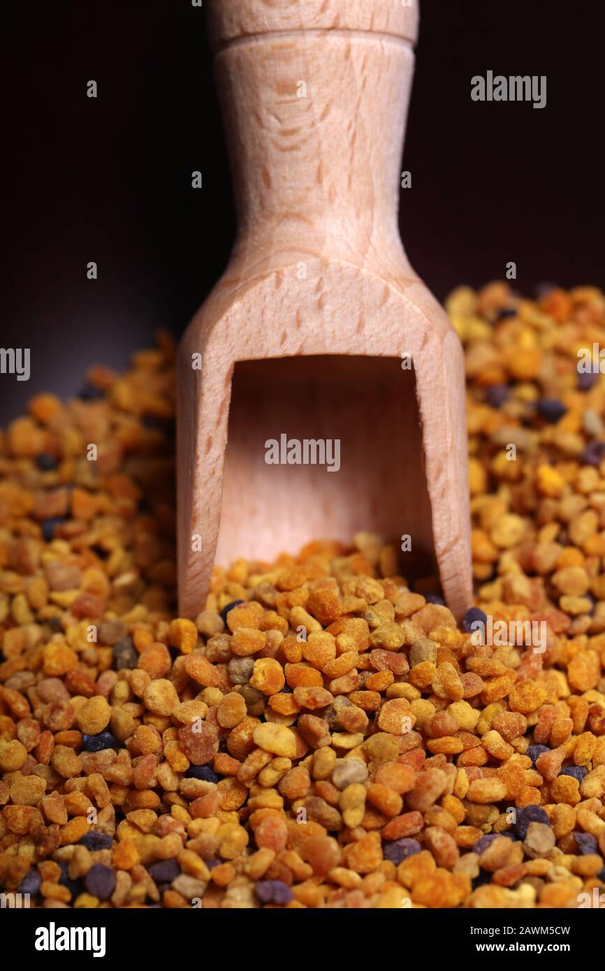 Pollen grains bee flower honey Stock Photo - Alamy