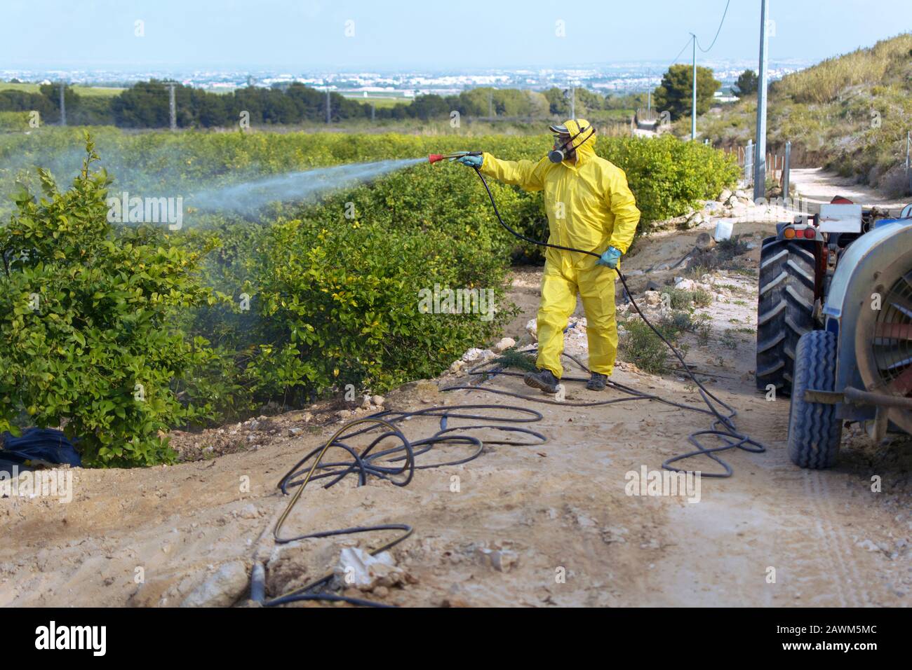 Weed insecticide fumigation. Organic ecological agriculture. Spray ...
