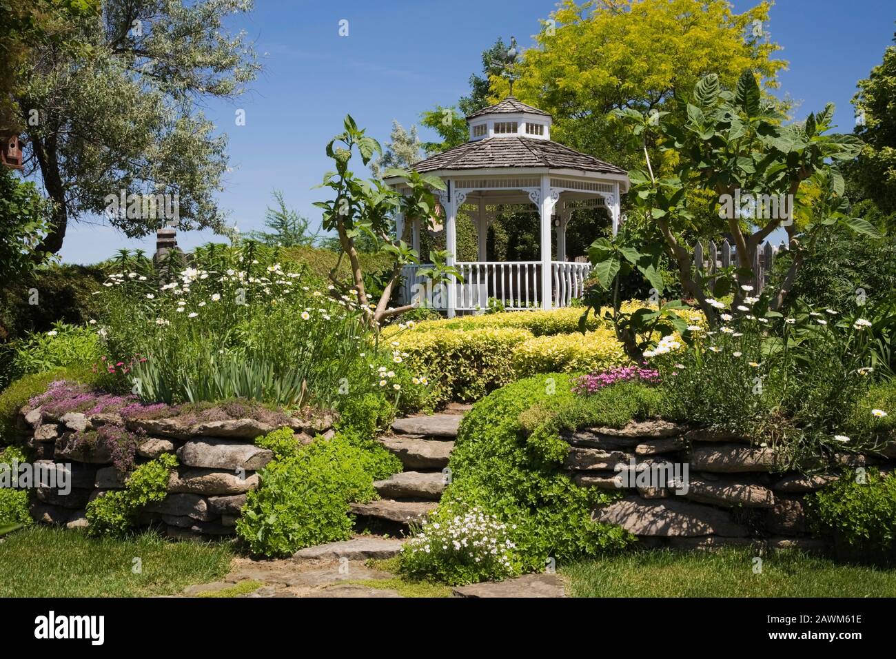 Flagstone path and steps in raised natural stone borders with white ...