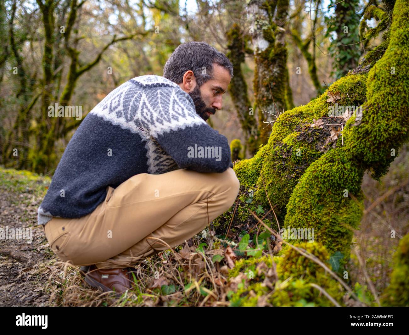 Moss green sweater hi-res stock photography and images - Alamy