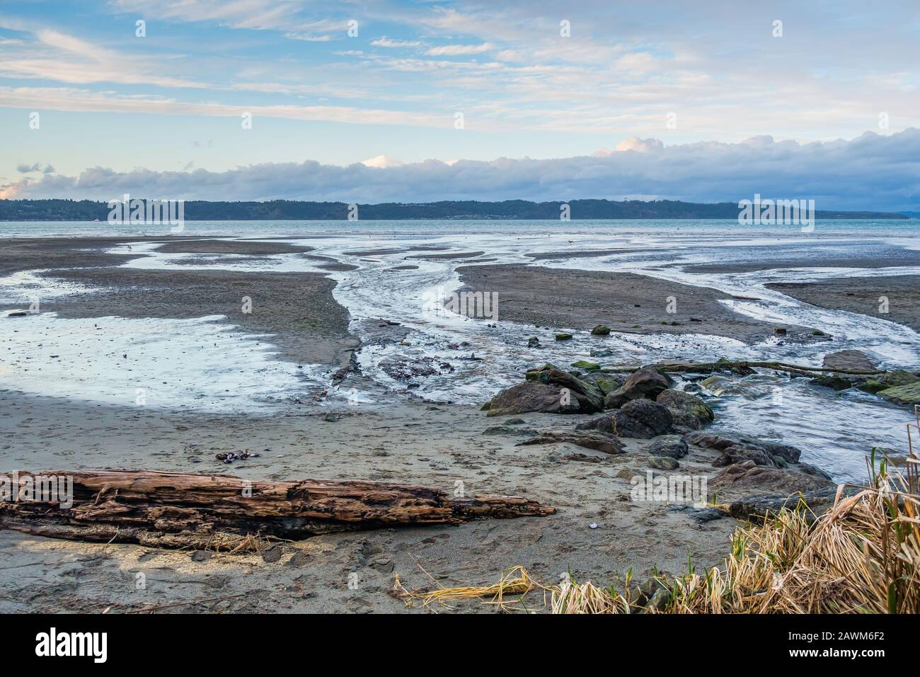 A stream flows into the Puget Sound at Dash Point State Park in ...