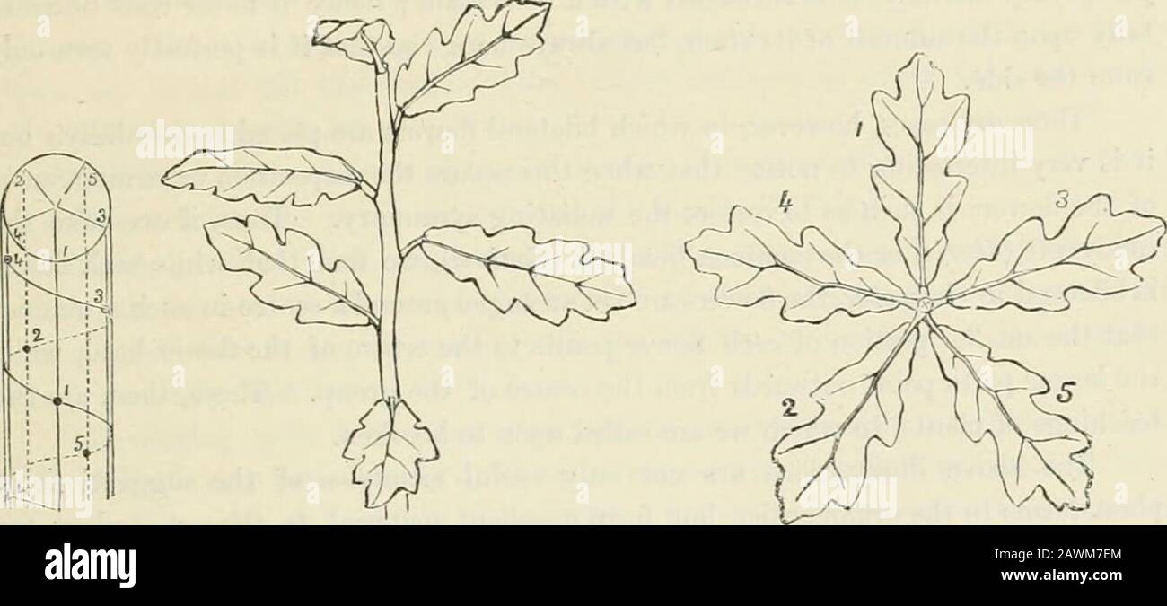 Principles of decorative design . ly pillage from her all that we can c