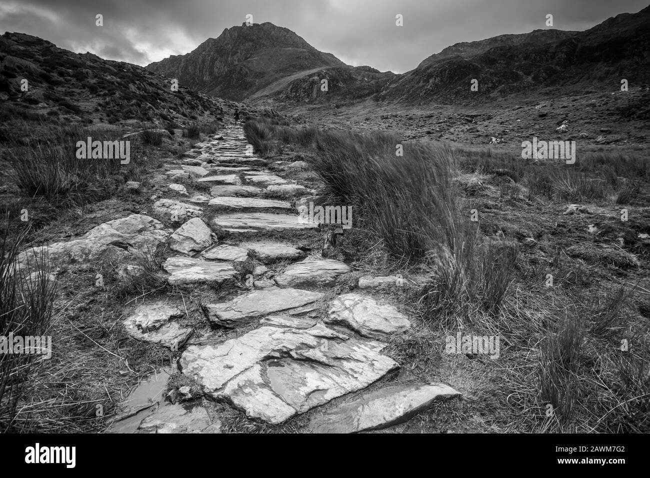 February in national park Black and White Stock Photos & Images - Alamy