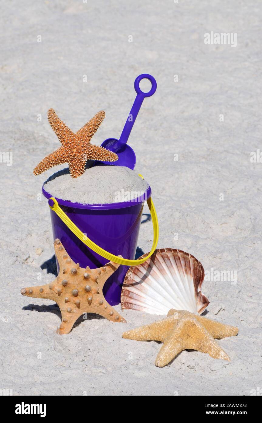 Beach Bucket with Starfish and Seashell Stock Photo - Alamy