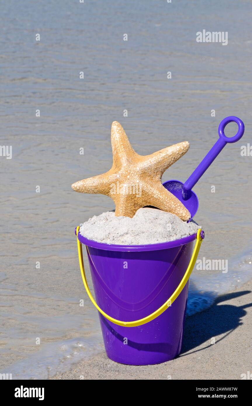 Beach Bucket full of sand with a Starfish Stock Photo - Alamy