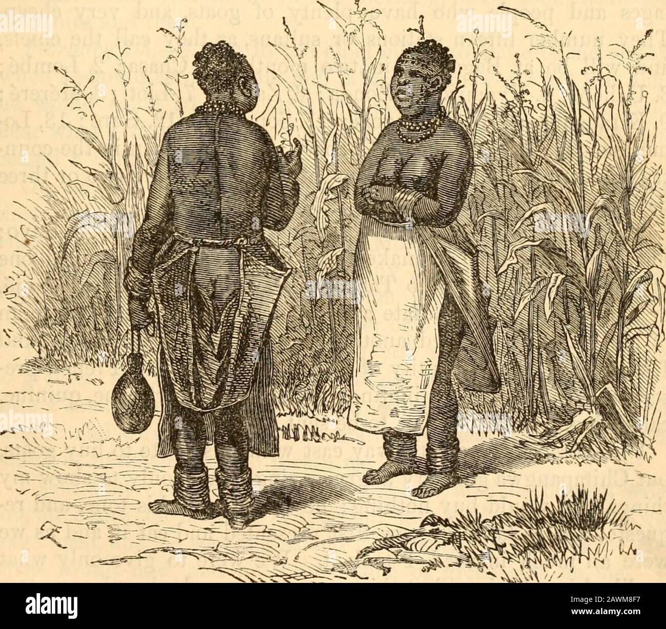 Black rattlers hi-res stock photography and images - Alamy