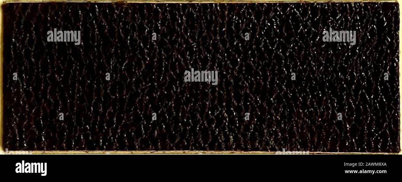 Blu 118 b hi-res stock photography and images - Alamy