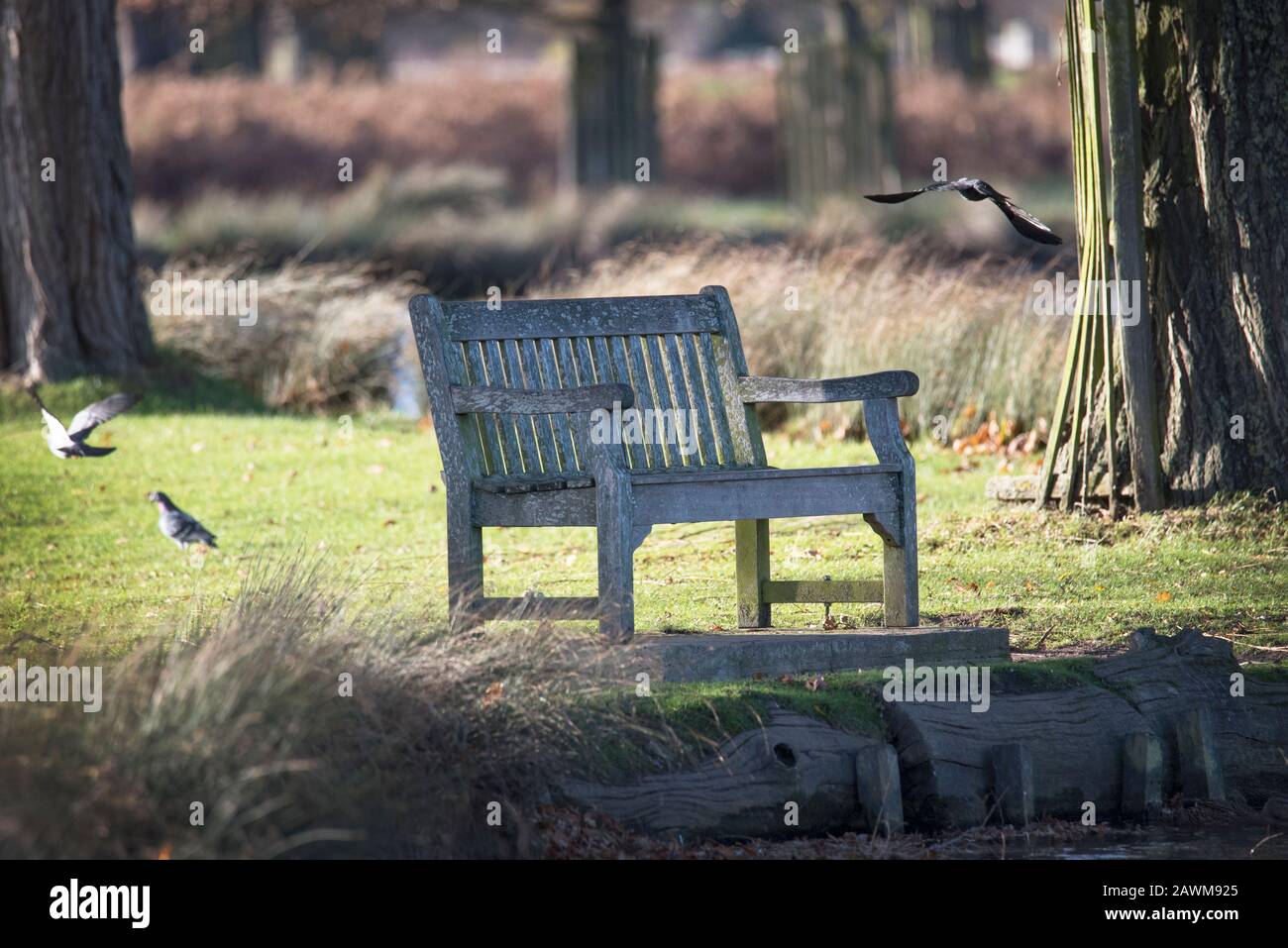 Tramp on a bench hi-res stock photography and images - Alamy