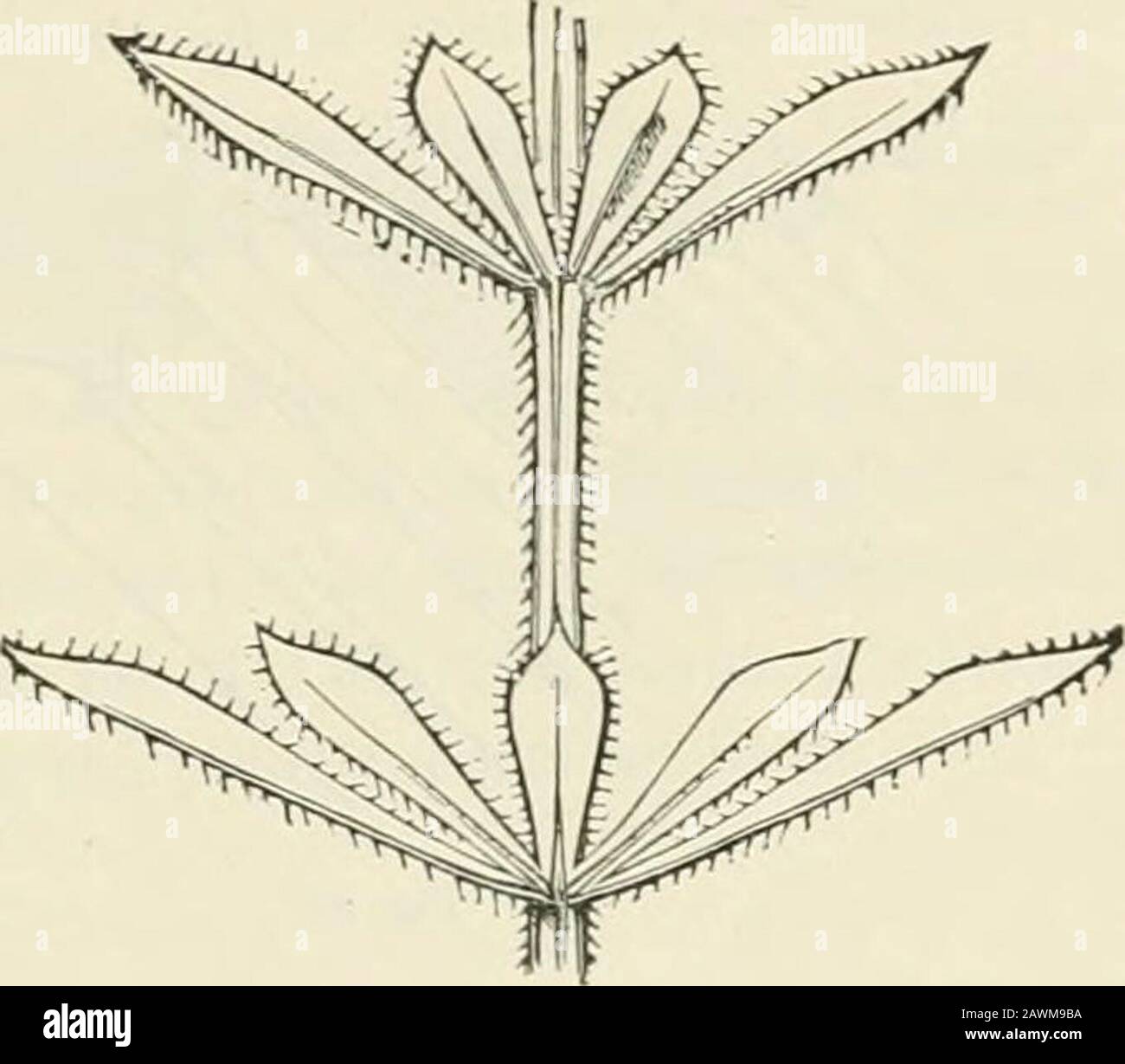 Principles of decorative design . Fig. 65. Fig. 64. ^E Stock Photo - Alamy