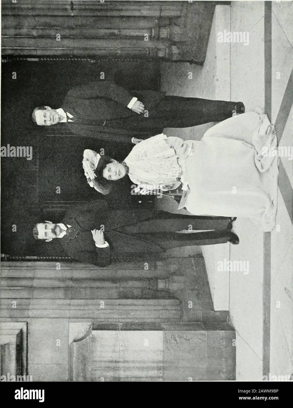 Primrose league hi-res stock photography and images - Alamy