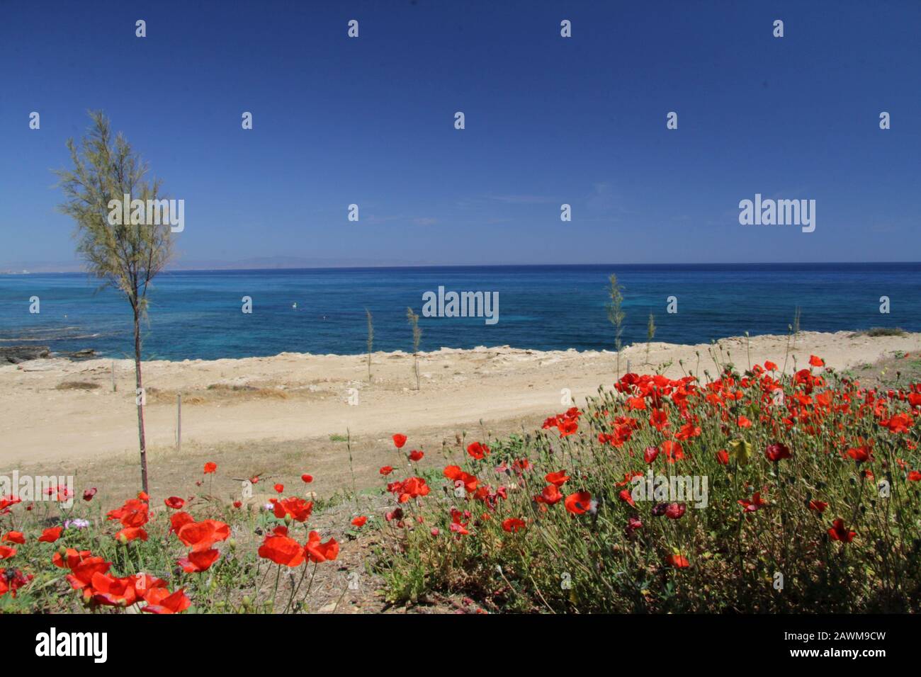Cyprus May 2019 Stock Photo - Alamy
