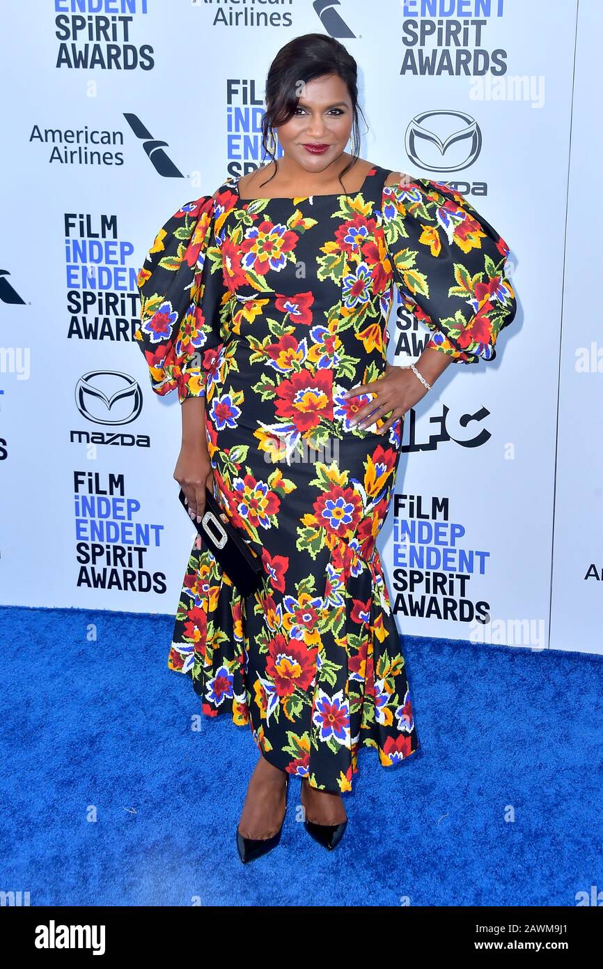 Mindy Kaling at the 35th Film Independent Spirit Awards 2020 ceremony ...