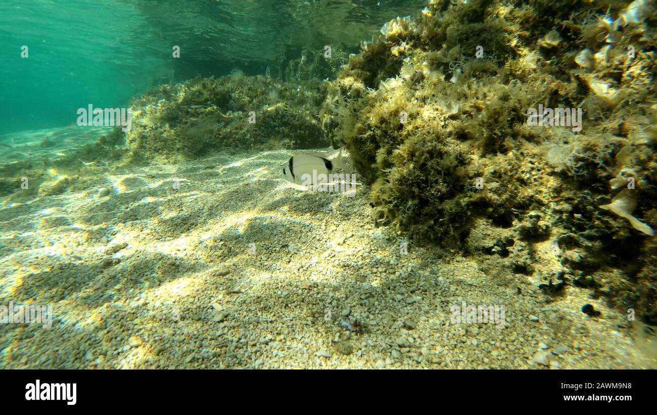 Photo of underwater rocks, sand and stones. The beautiful sandy and ...