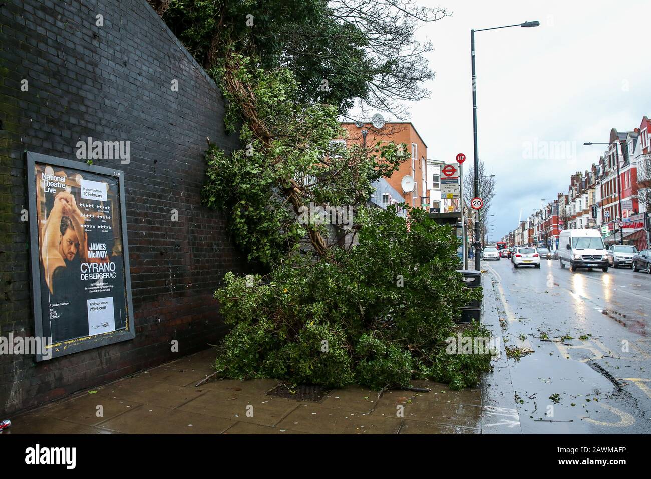 North London, UK 9 Feb 2020 - A tree has fallen down under the bridge ...