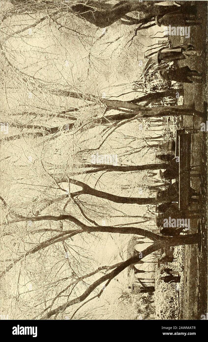 Nazas river mexico hi-res stock photography and images - Alamy