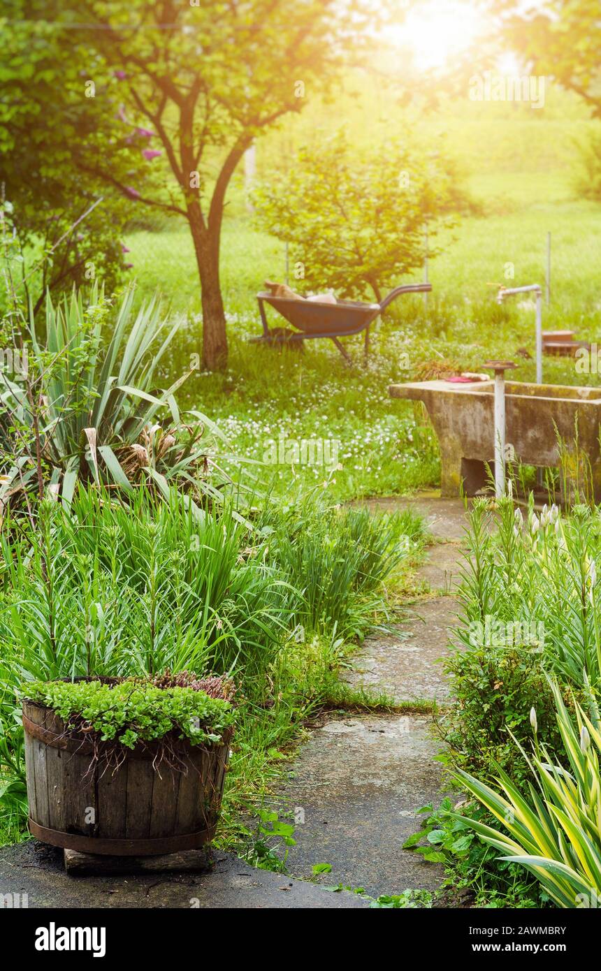 Traditional vintage old home garden Stock Photo - Alamy