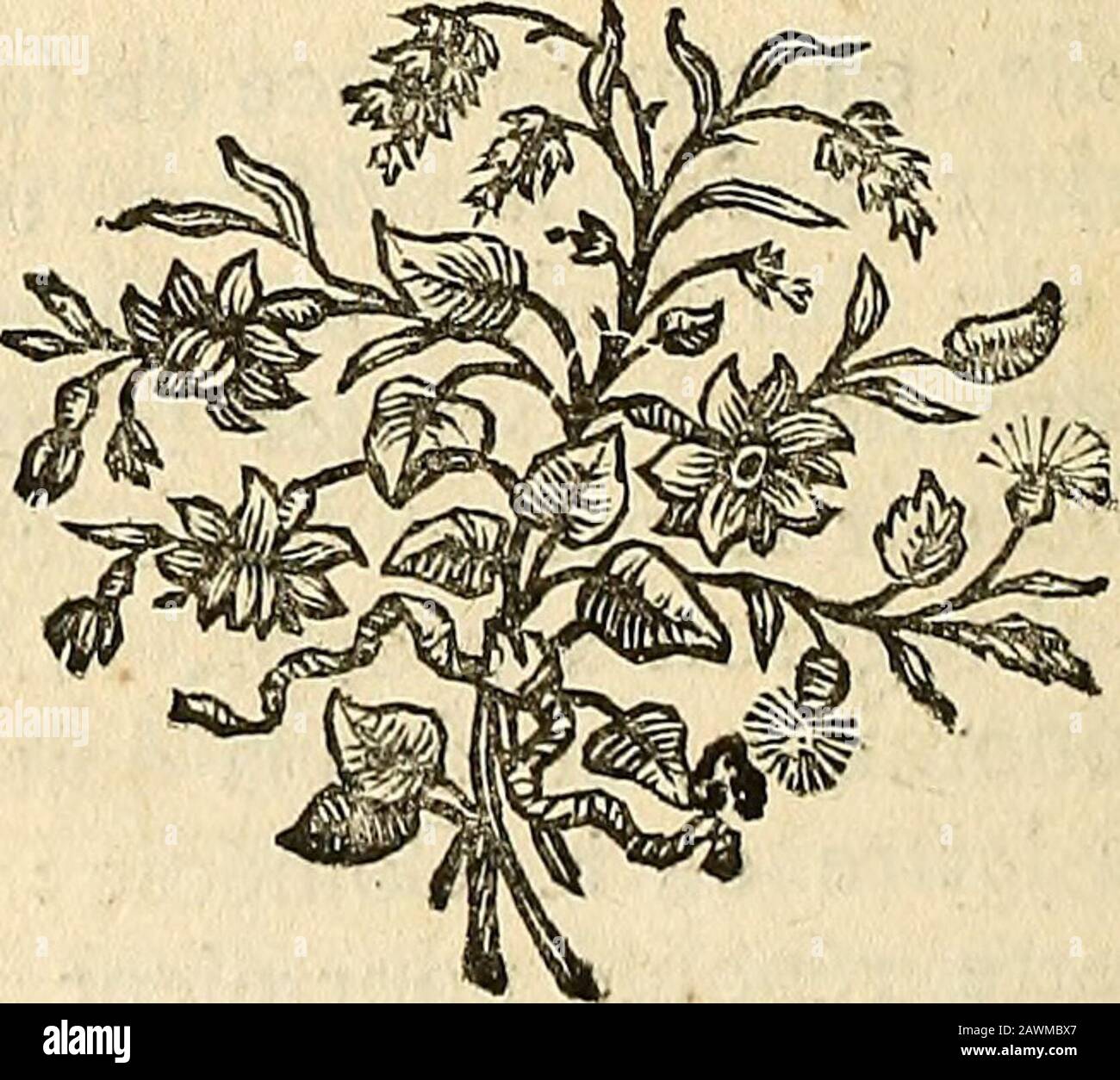 Lettre de cas hi-res stock photography and images - Alamy