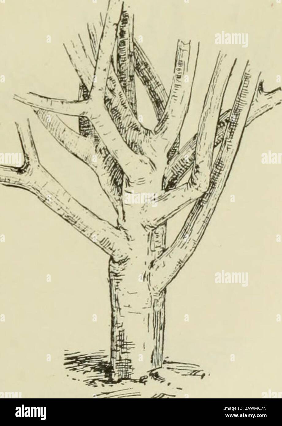 Different planting methods hi-res stock photography and images - Alamy