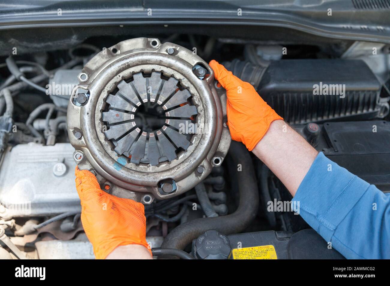 Pressure Plate Clutch