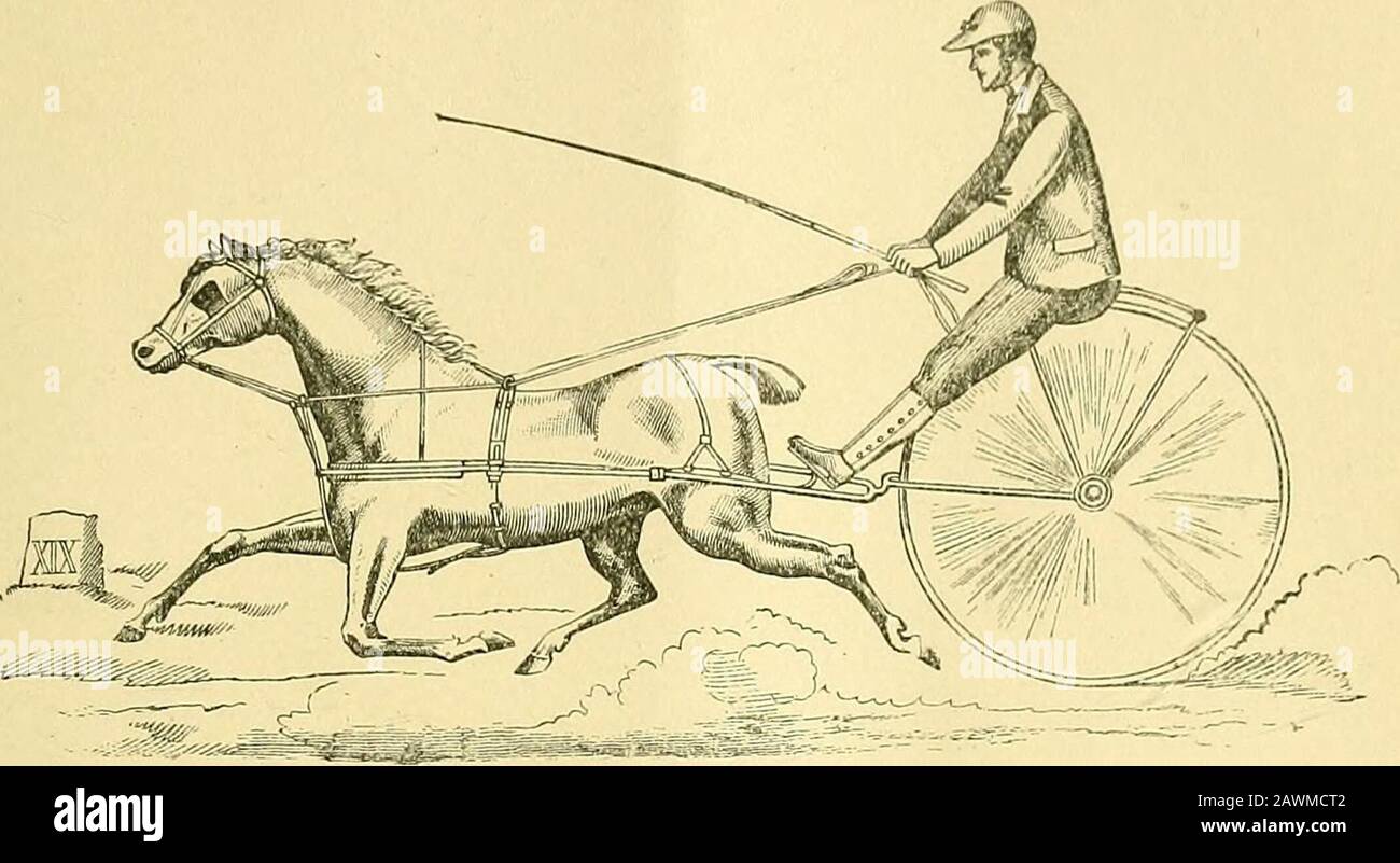 Good roads . e up and doing. Send in your mite ho^vever small.Or, when ...