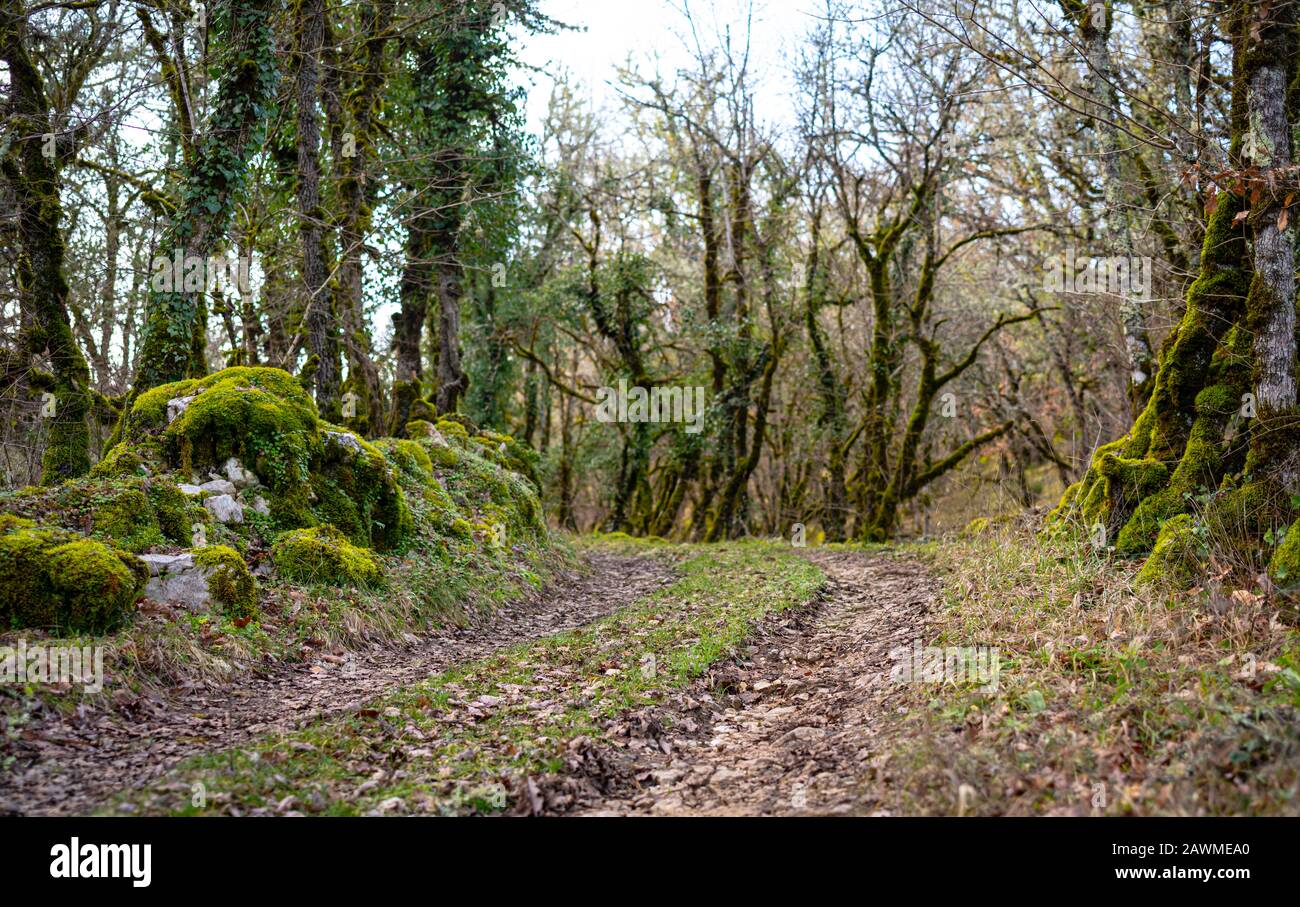 Stone covered road hi-res stock photography and images - Alamy