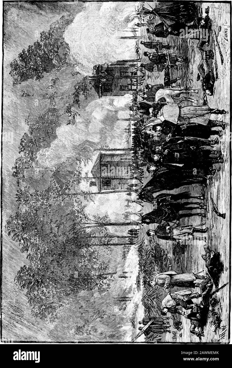 Abatis hi-res stock photography and images - Alamy