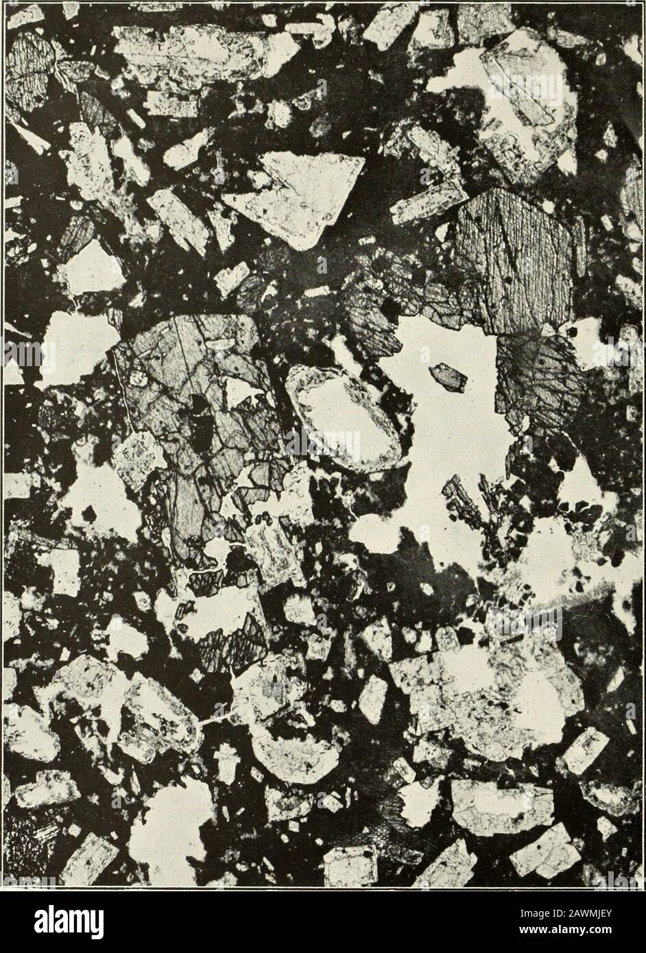 The geology of the Coromandel subdivision, Hauraki, Auckland ...