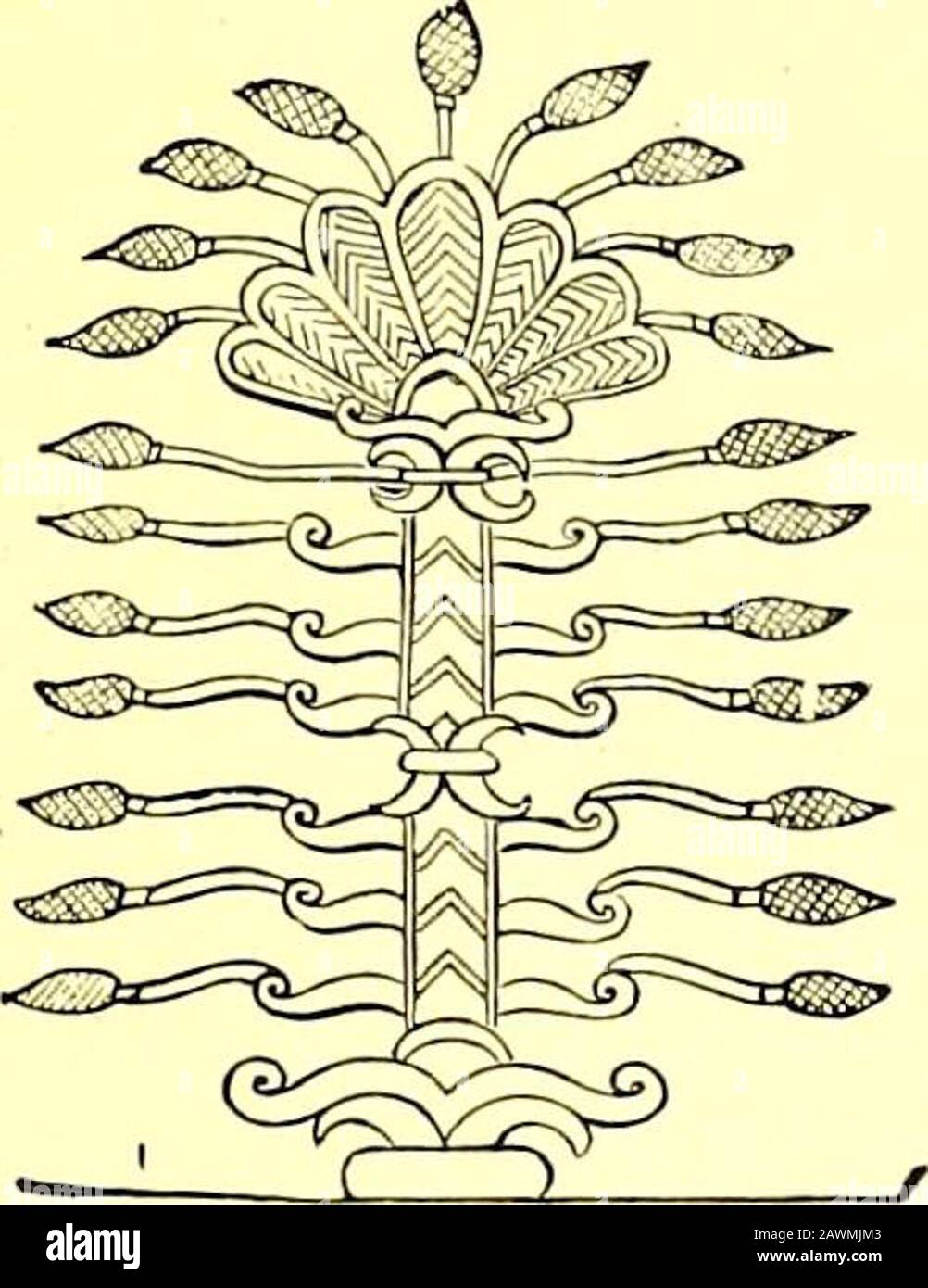 The night of the gods; an inquiry into cosmic and cosmogonic mythology ...