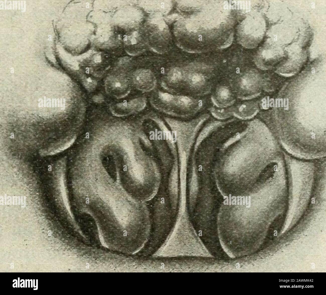 Analytical cyclopaedia hi-res stock photography and images - Alamy