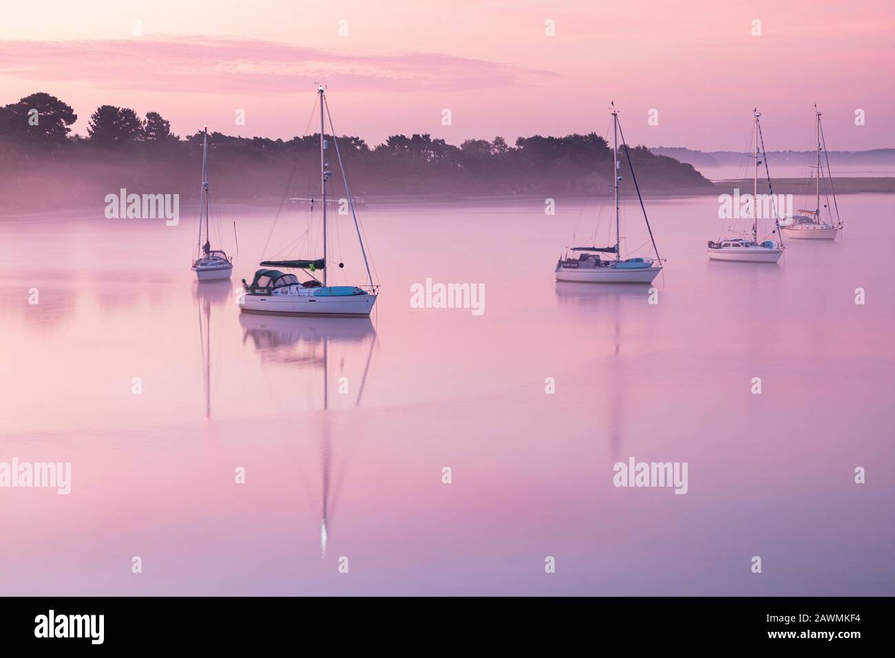 Arne dorset hi-res stock photography and images - Alamy