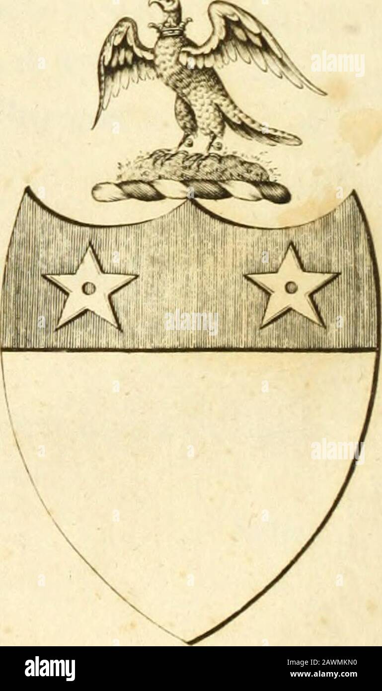 Falcon Coat Of Arms