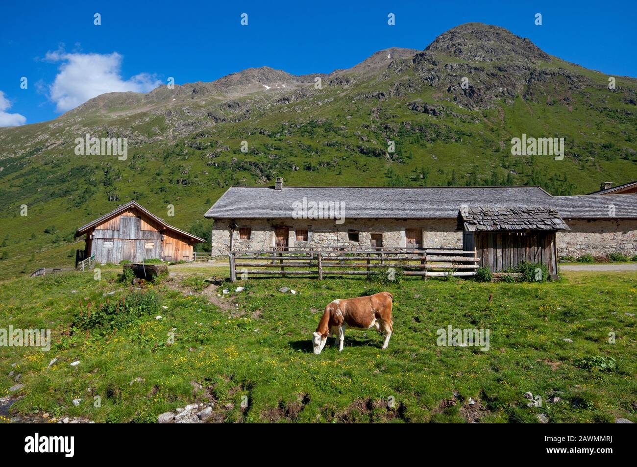 Cicciolina or ilona staller hi-res stock photography and images - Alamy