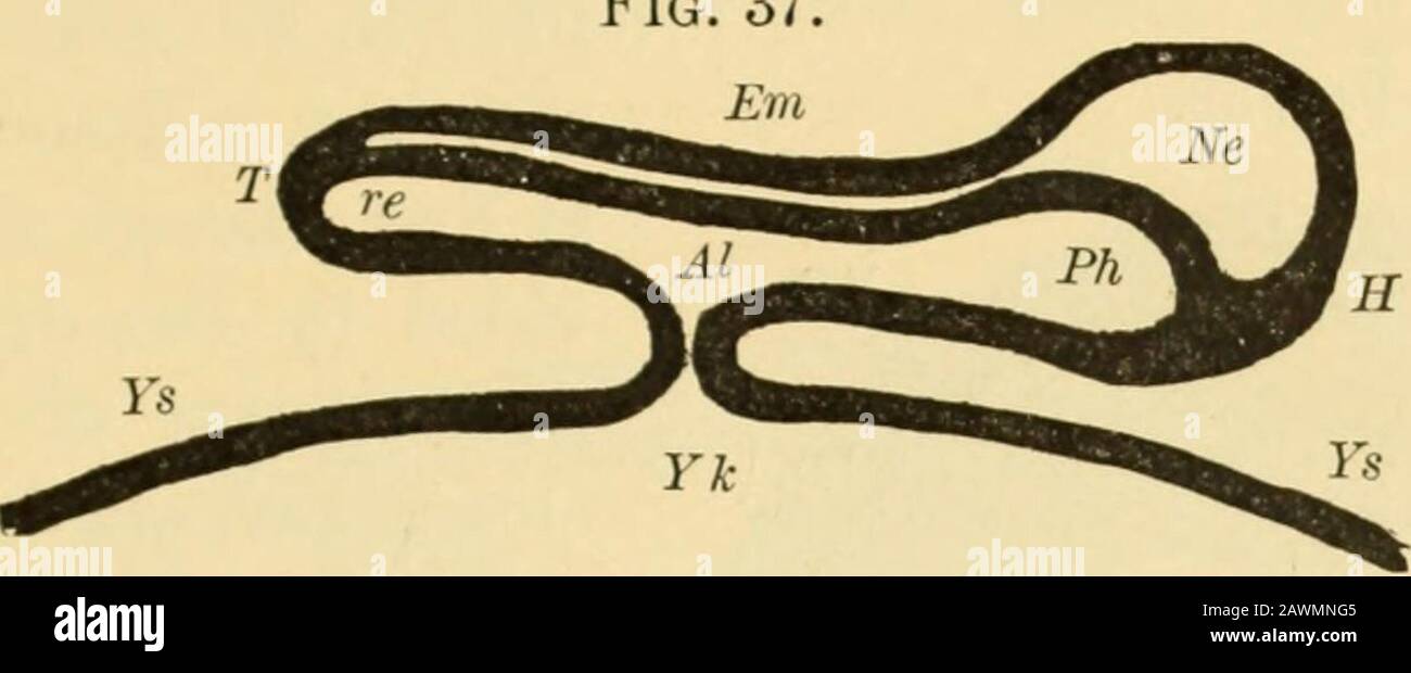 Two foldings hi-res stock photography and images - Alamy