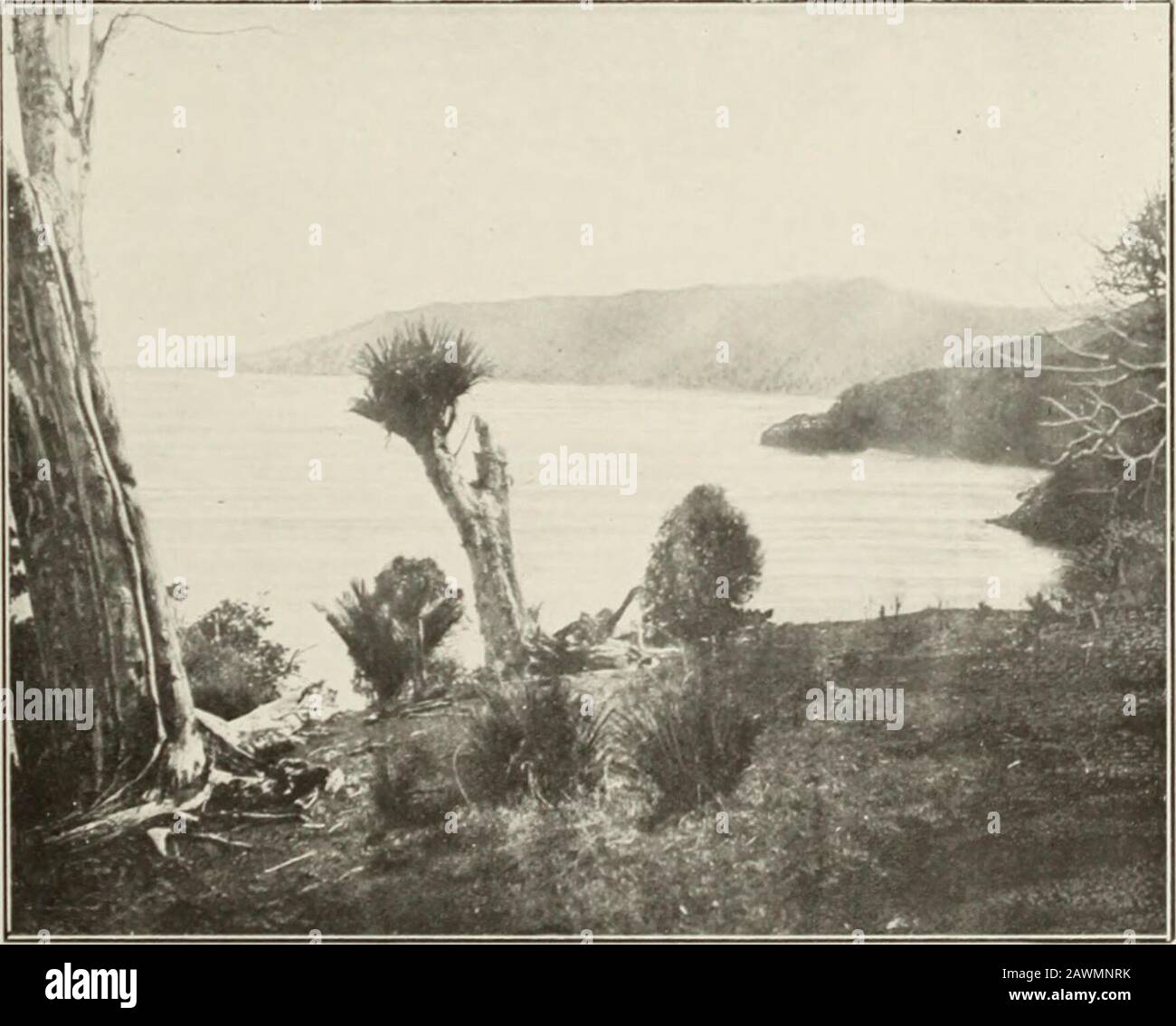 Moehau range hi-res stock photography and images - Alamy