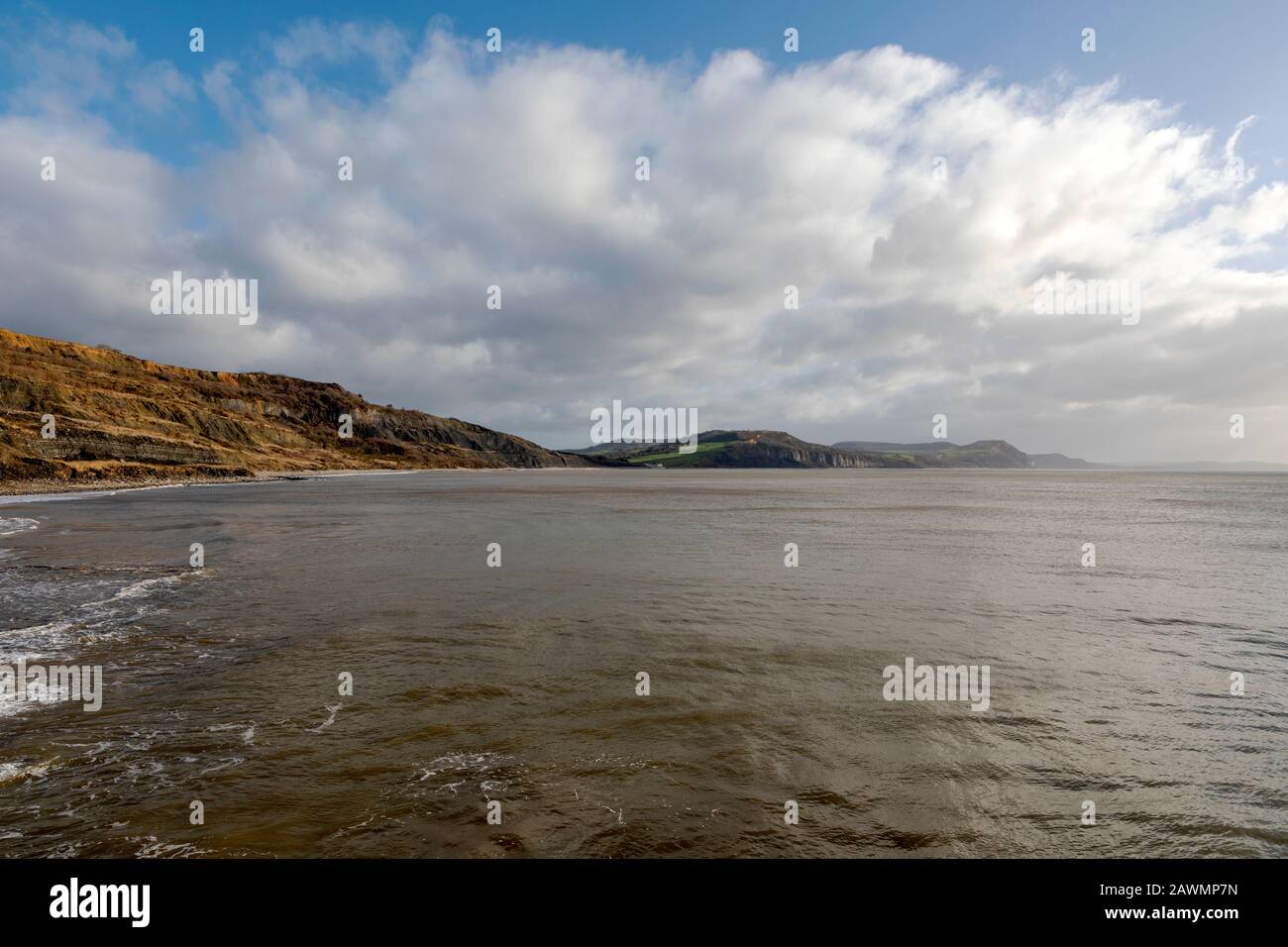 Jurassic coast dorset fossils hi-res stock photography and images - Alamy