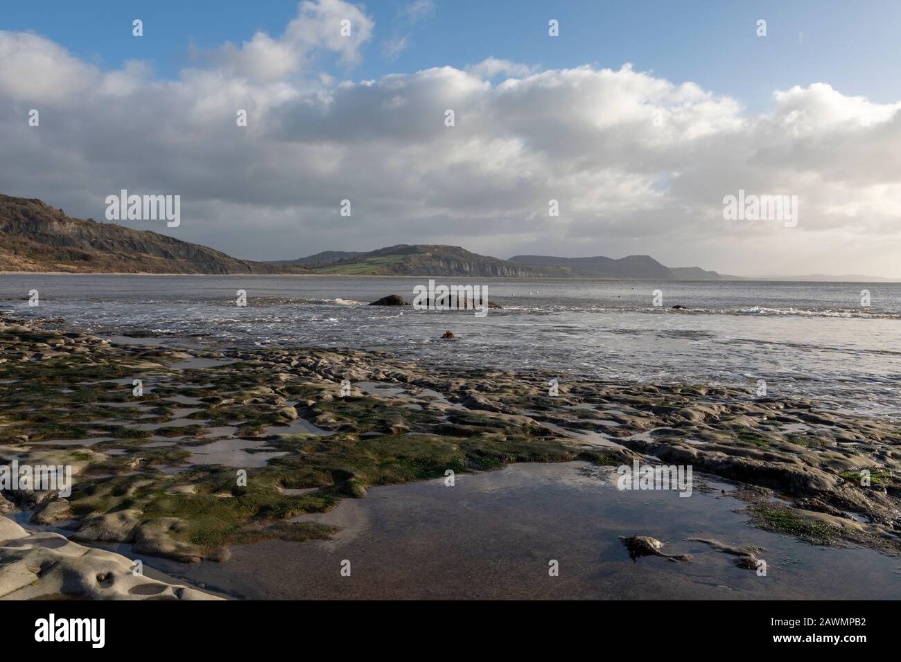 Jurassic coast dorset fossils hi-res stock photography and images - Alamy