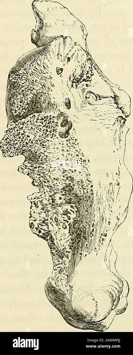 Alayer High Resolution Stock Photography and Images - Alamy