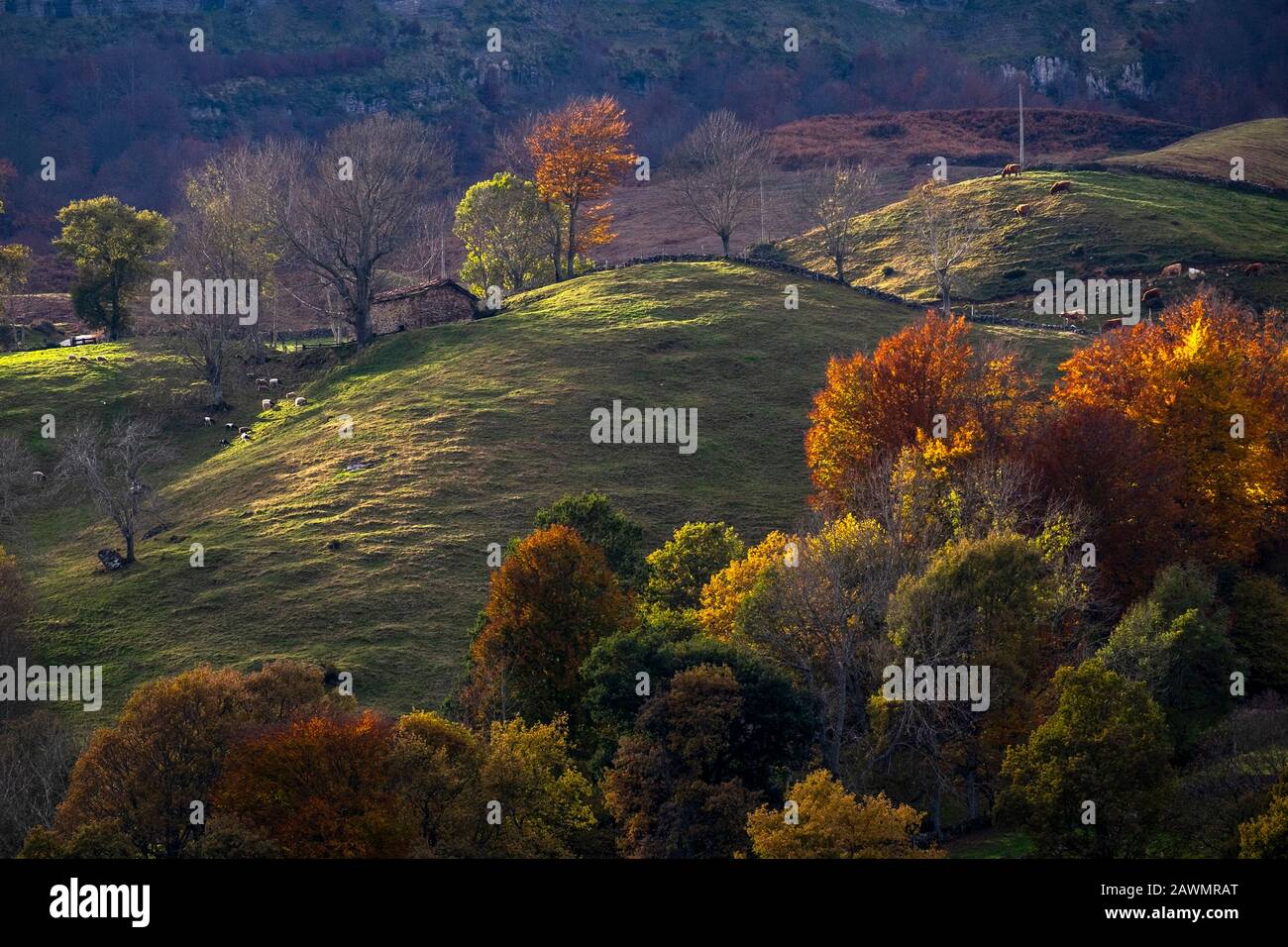 Traditional farm houses. North Spain Stock Photo - Alamy