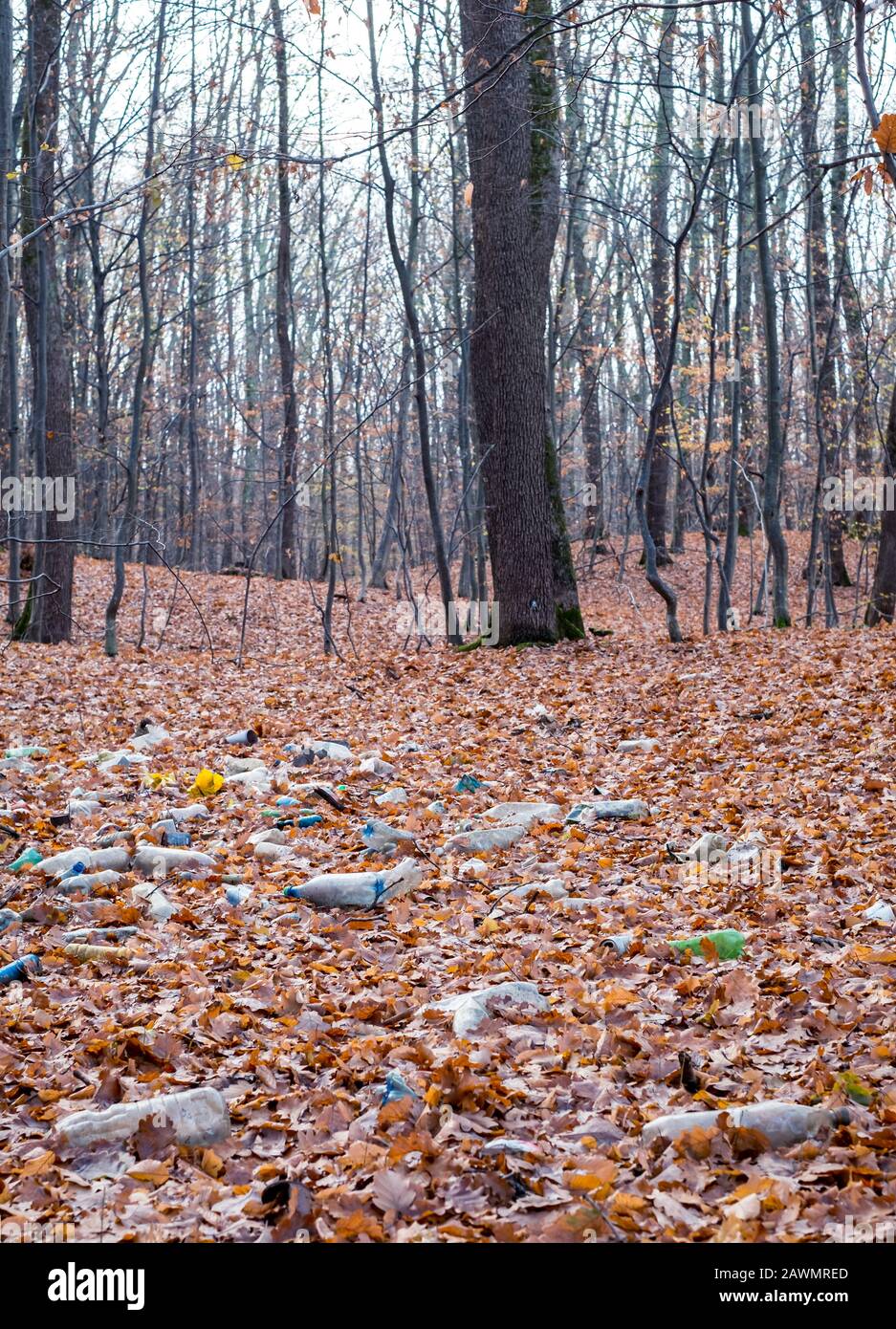 Environmental pollution. Garbage from domestic waste polluted autumn ...
